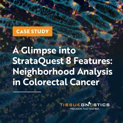 StrataQuest | Image Analysis Solution