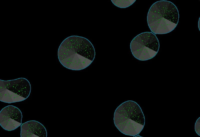IF Spatial Dots